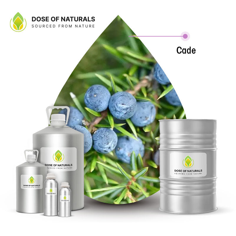Buy Cade Essential Oil - Pure & Therapeutic Grade | Dose of Naturals ...