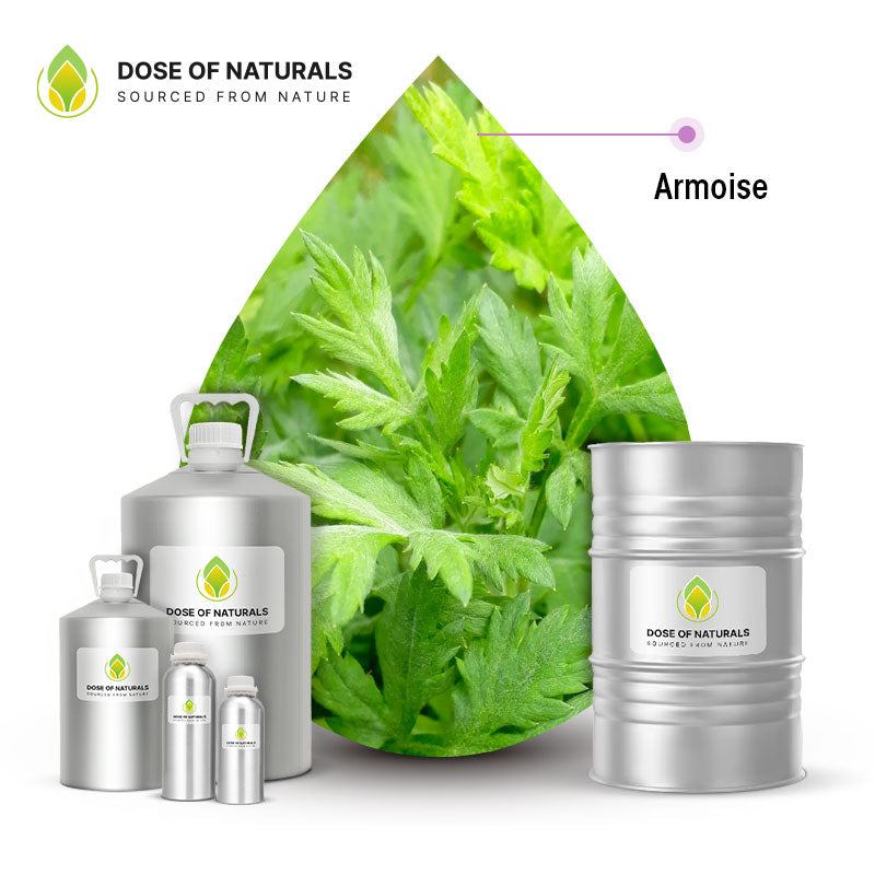 Armoise (Mugwort ) Essential Oil – dose-of-naturals