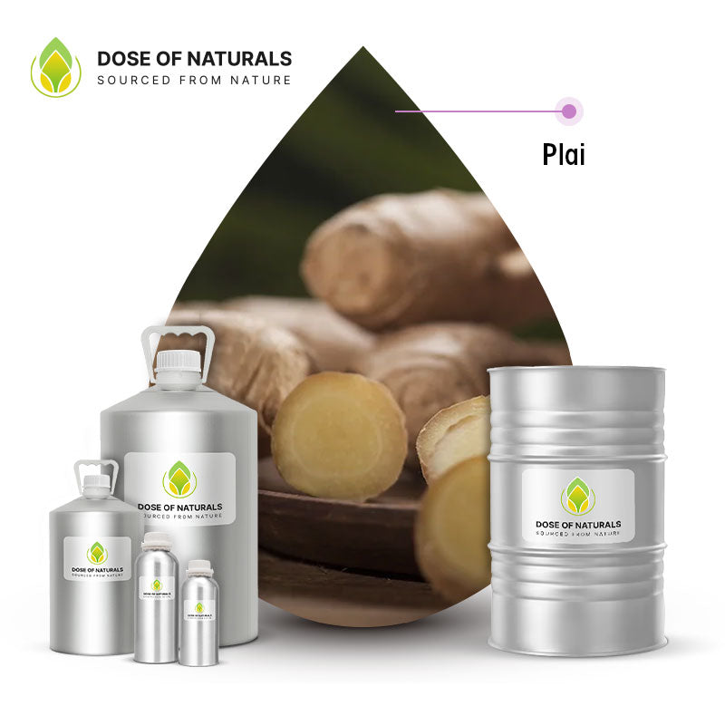 Plai Essential Oil by Dose of Naturals: Natural Relief & Wellness ...