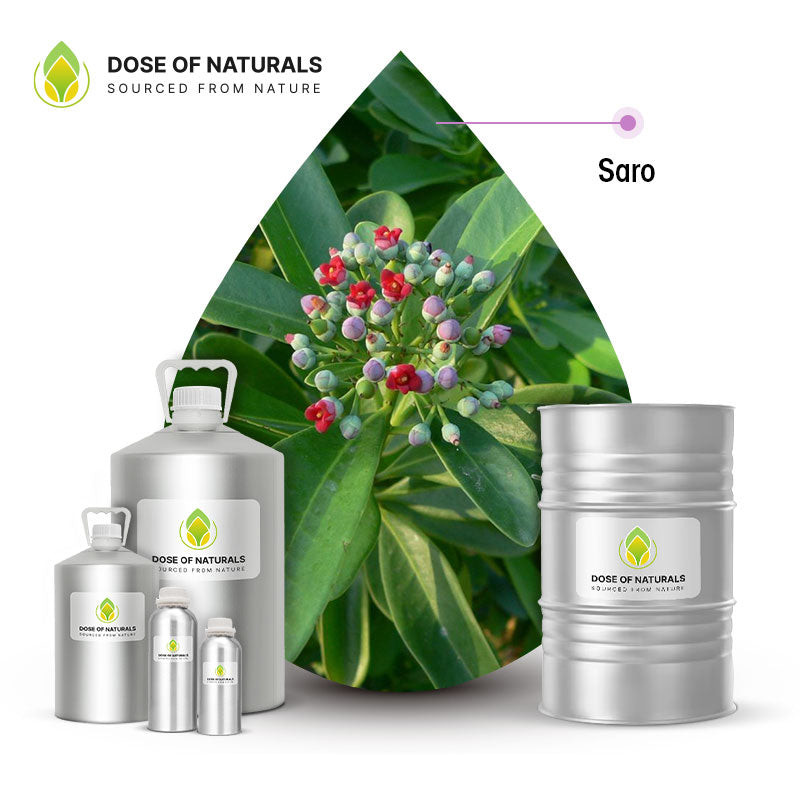 Saro Essential Oil for Wellness & Vitality | Dose of Naturals – dose-of ...
