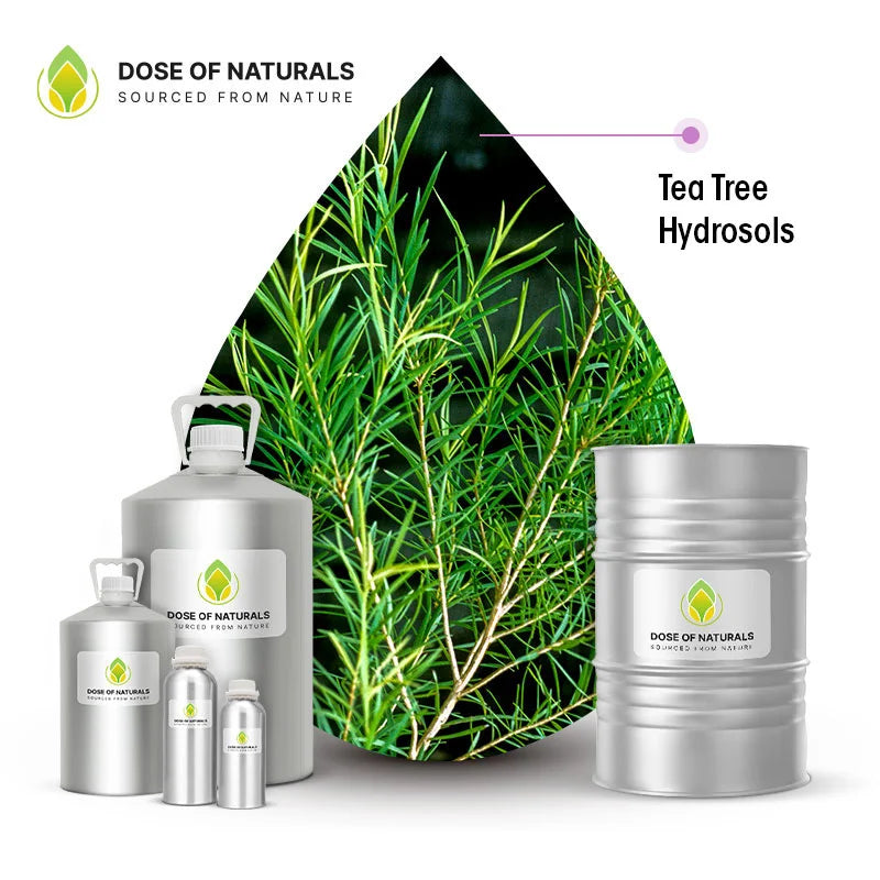 Buy Tea Tree Hydrosol - Natural & Therapeutic | Dose of Naturals – dose ...